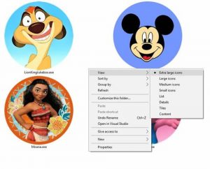 SENICT Folder options – SENict
